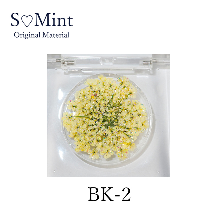 SMint Natural Dry Flower BKシリーズ BK-2 | Nail Labo Online Shop ネイルラボ ...